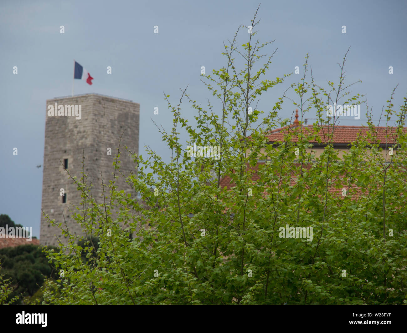 Cannes in France Stock Photo - Alamy