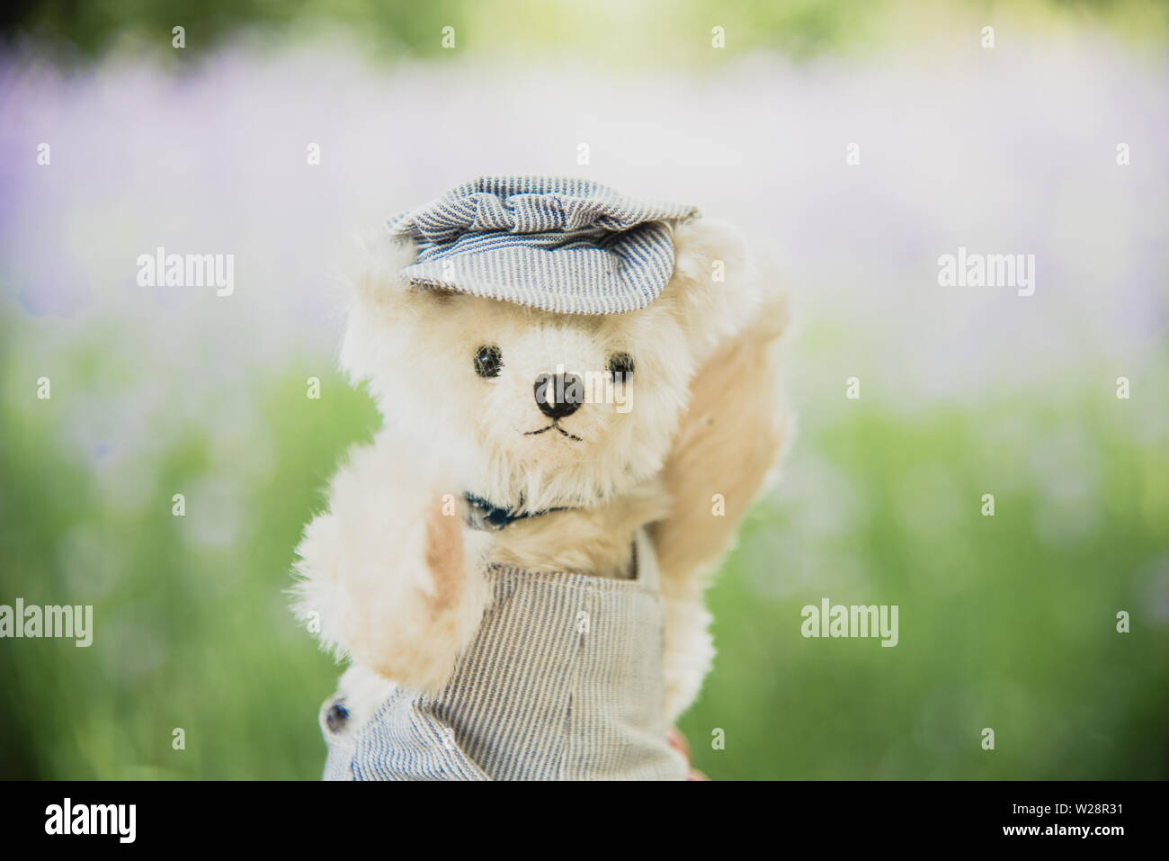 Vibrant outdoor photo of teddy bear sitting on the yard at the park ...