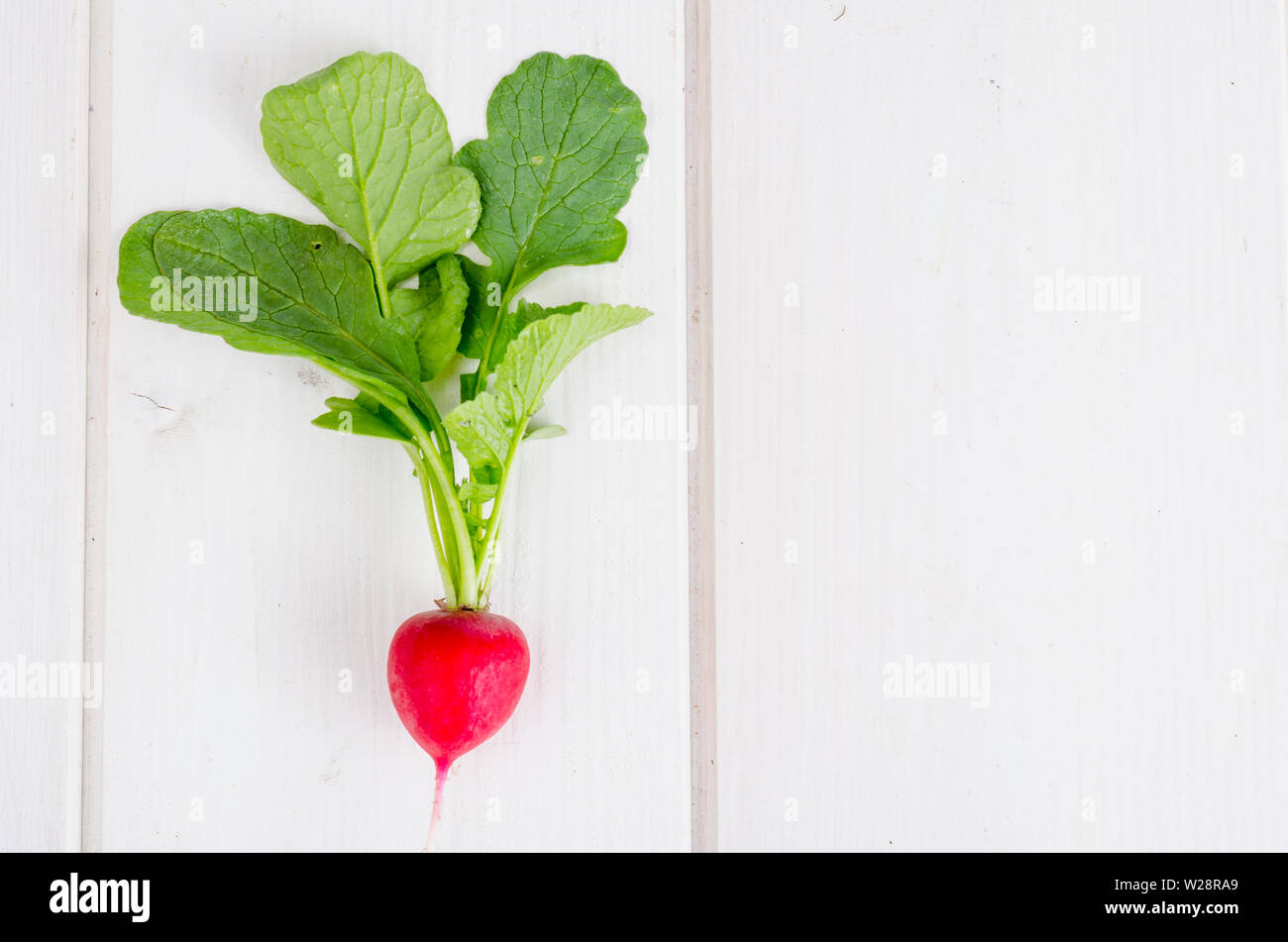 Red radish on plate. Vegetarian food concept, layout, menu Stock Photo ...