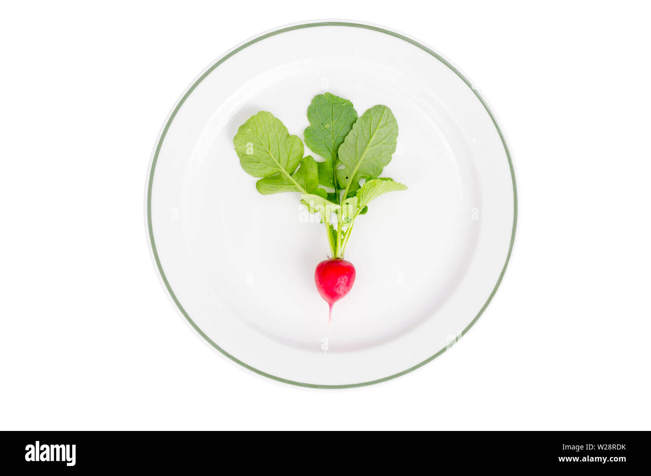 Red radish on plate. Vegetarian food concept, layout, menu Stock Photo ...