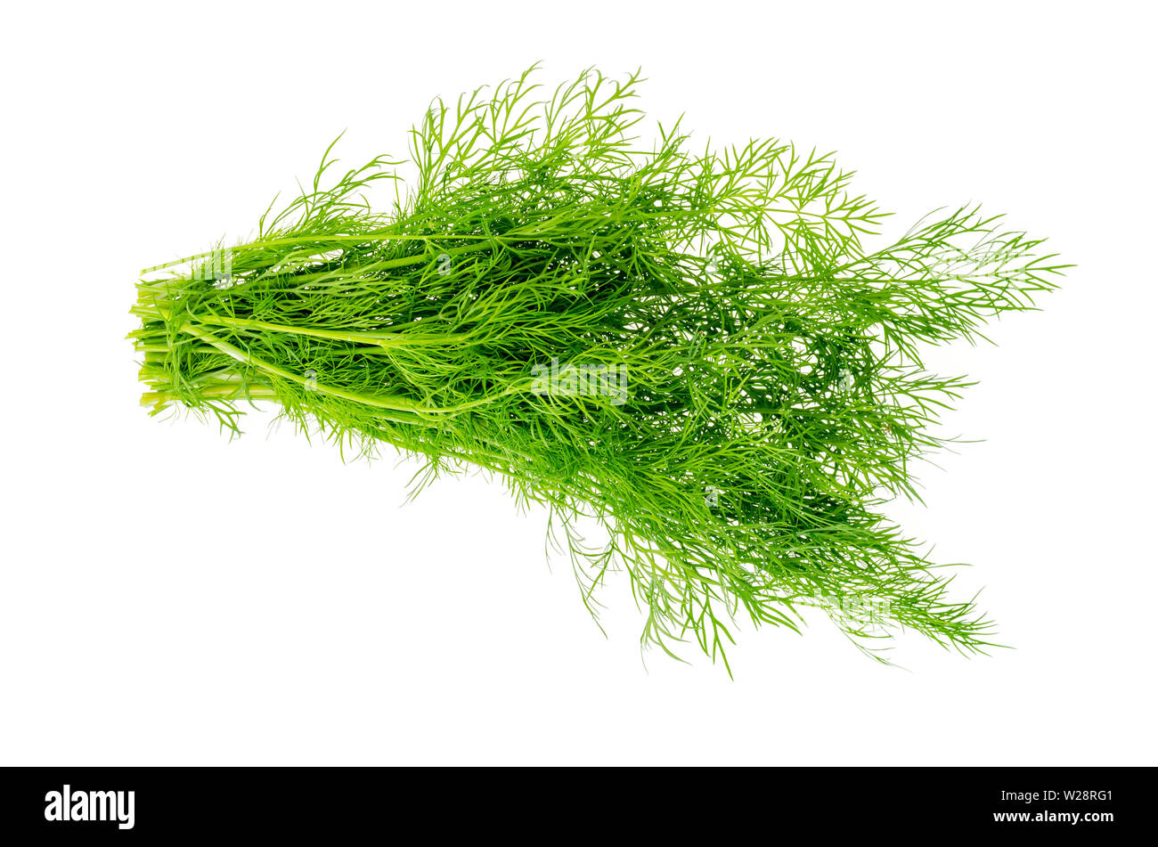 Bunch of fresh green dill isolated on white background Stock Photo - Alamy