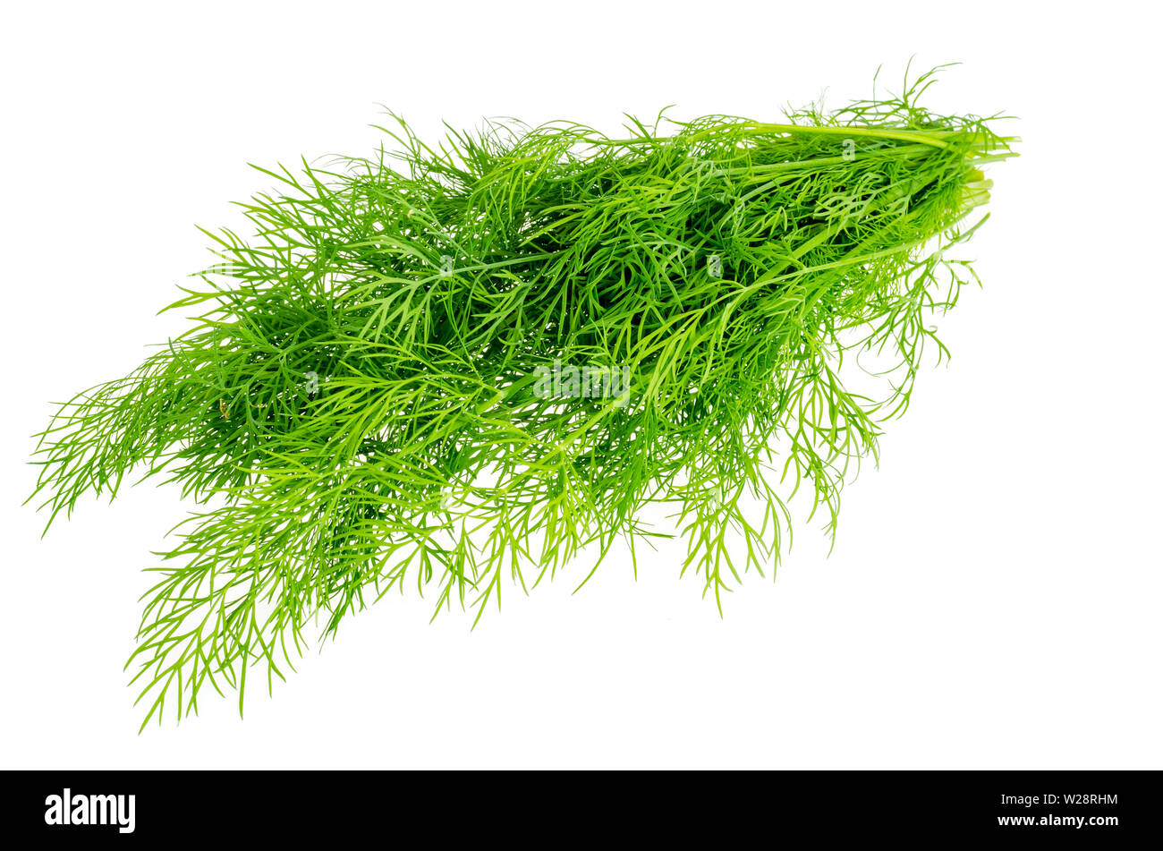 Bunch fresh dill top view Cut Out Stock Images & Pictures - Alamy