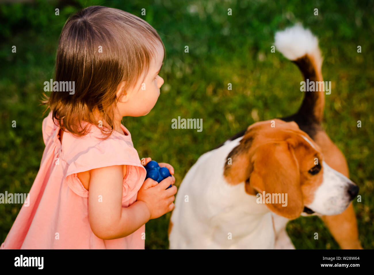 Are Beagles Good With Kids Or Toddlers