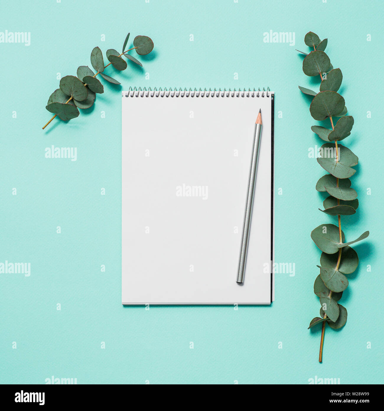 Blank notebook, pencil and eucalyptus on blue background. Empty ...