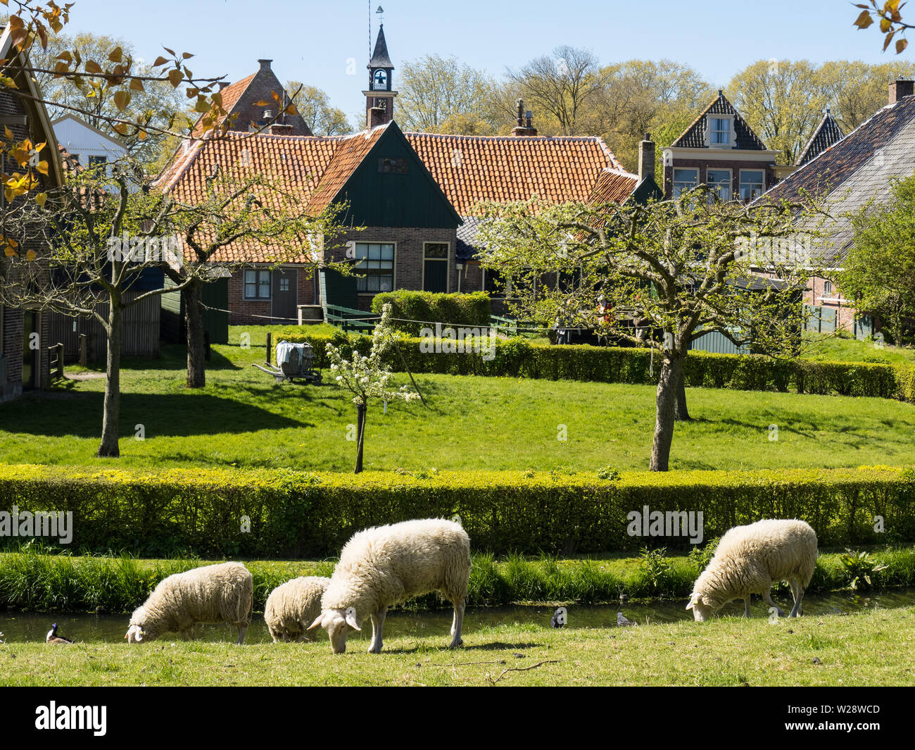 Holland gree hi-res stock photography and images - Alamy