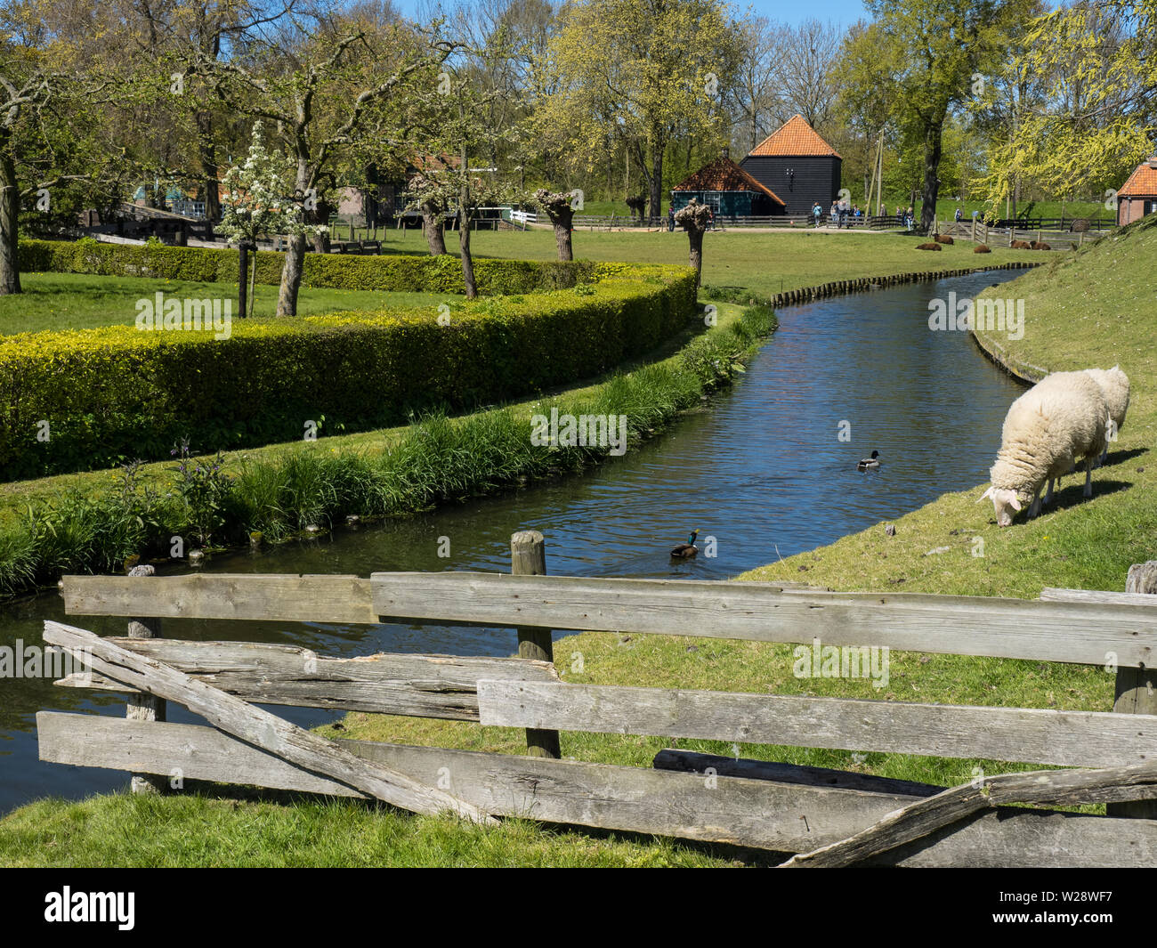 Holland gree hi-res stock photography and images - Alamy