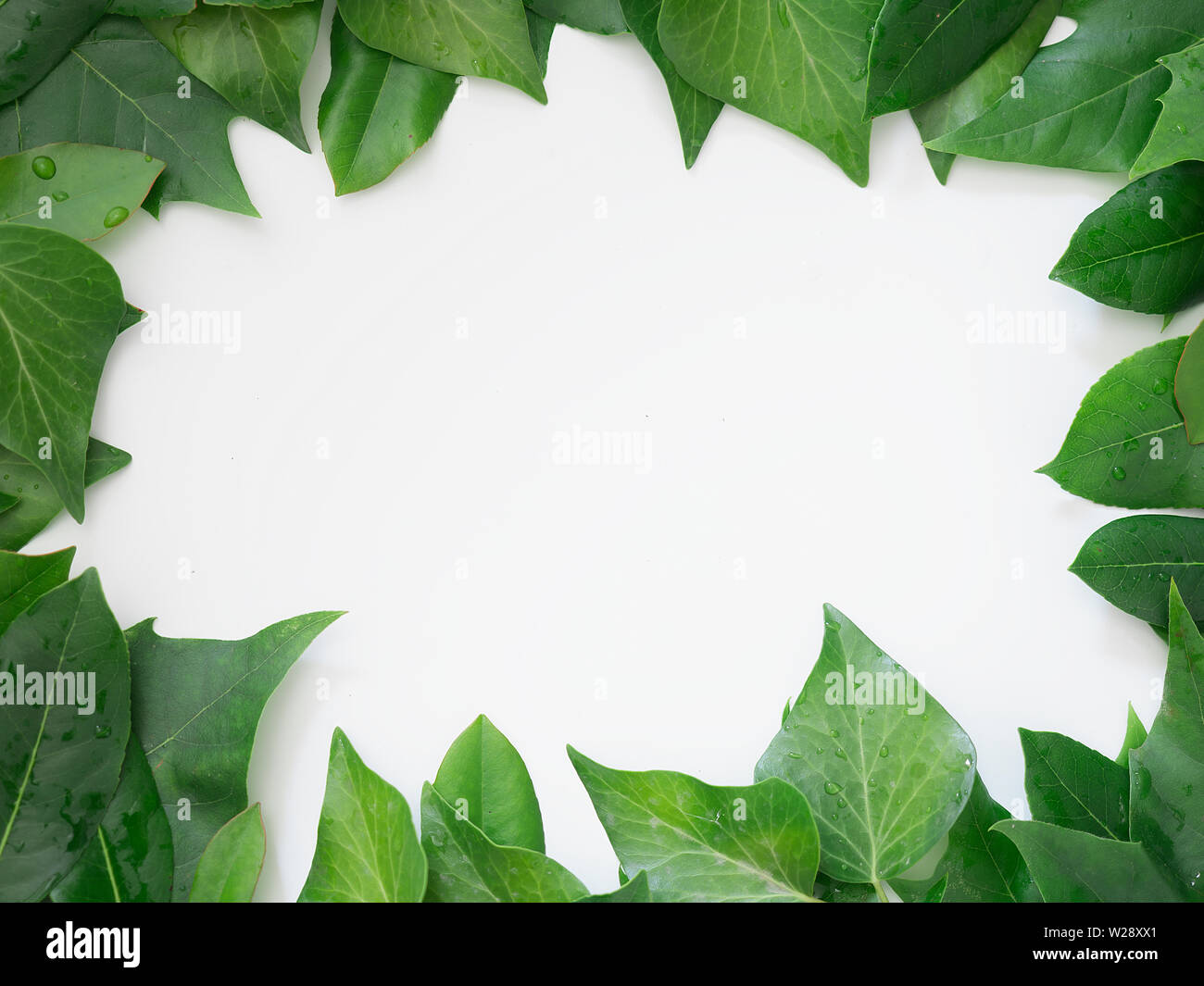 blank space to insert text or images Stock Photo - Alamy