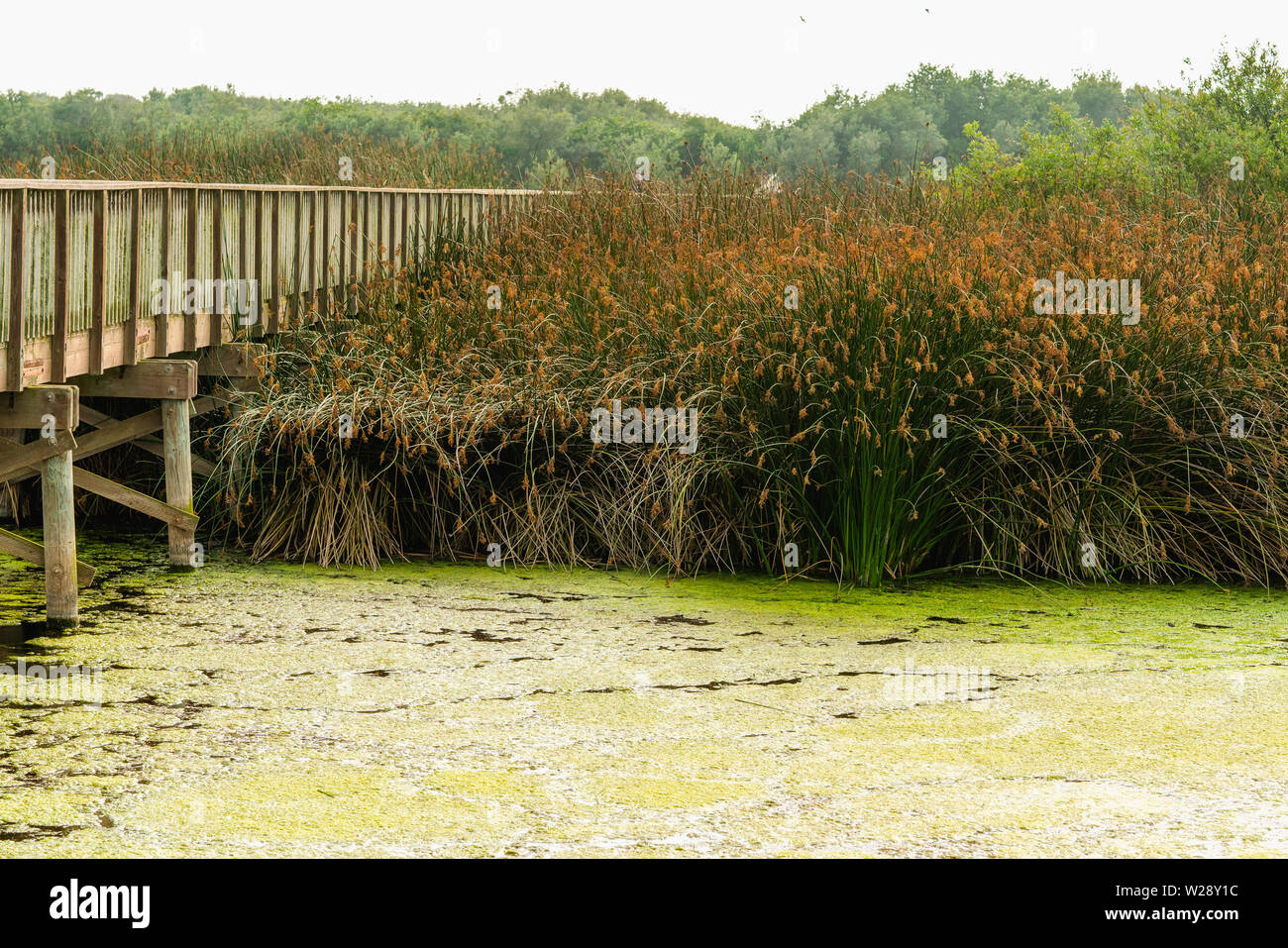Oso flaco state park hi-res stock photography and images - Alamy