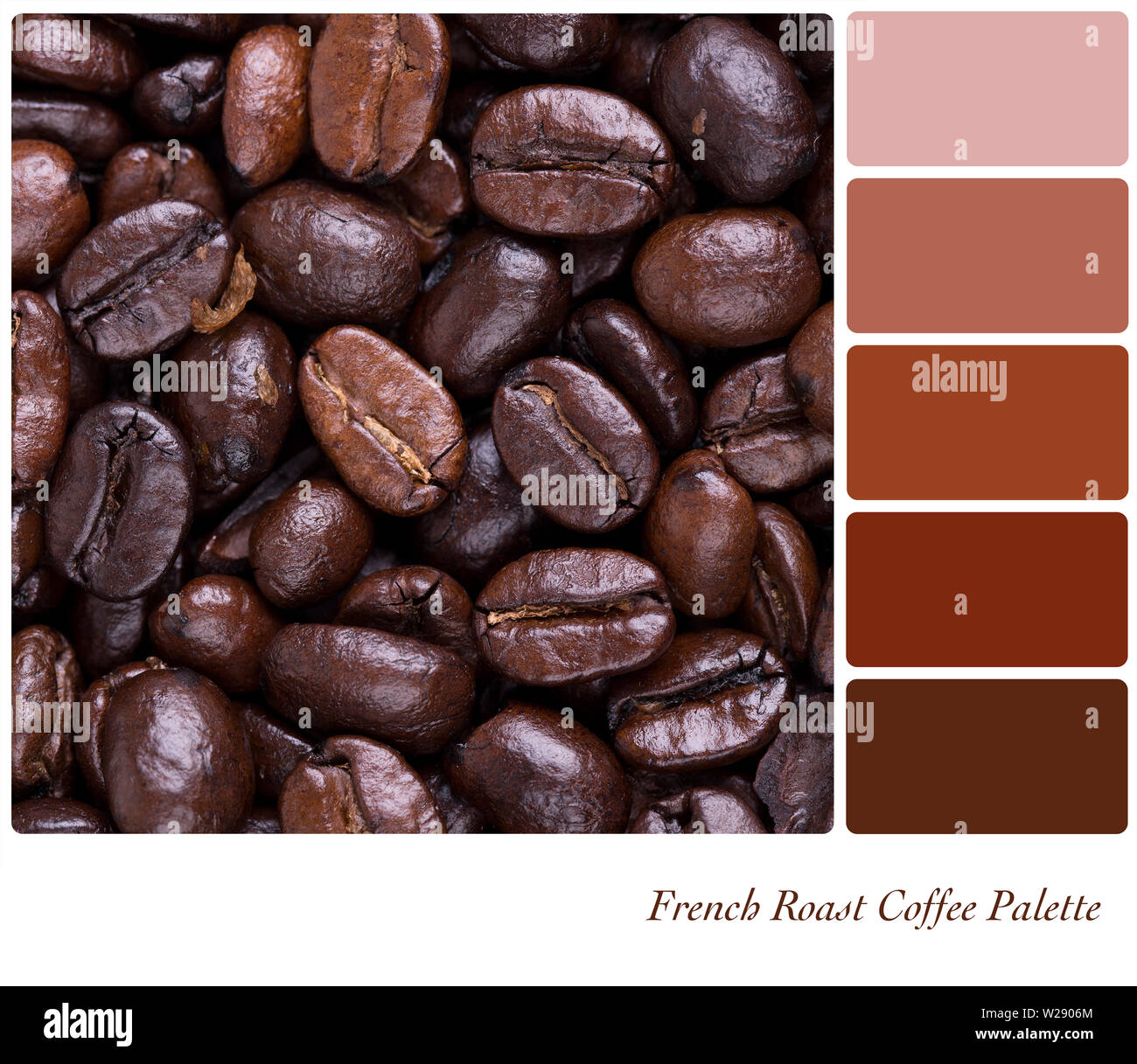 French Roast bean colour palette with complimentary swatches Stock ...