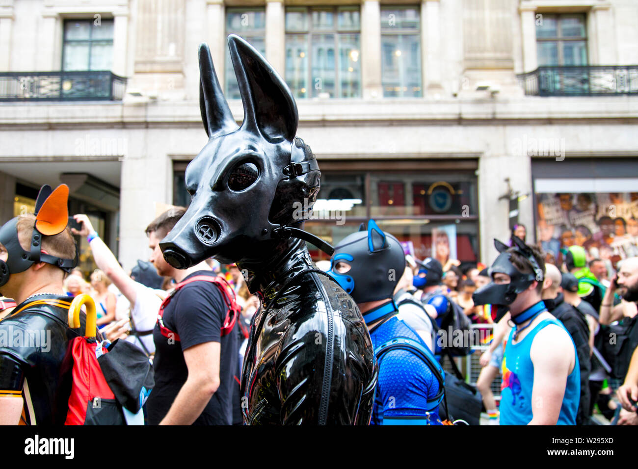 6 July 2019 - Person wearing bondage Anubis dog mask and latex suit ...