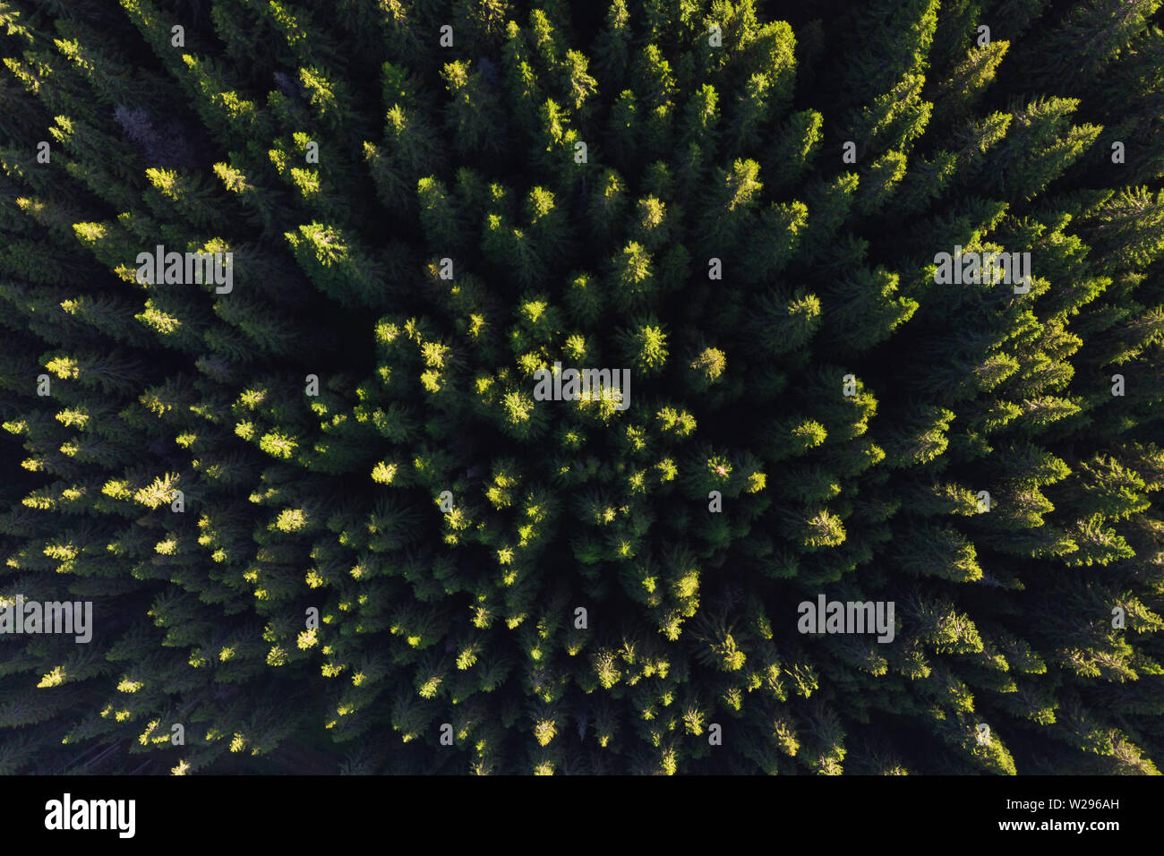 Summer aerial view of Transalpina mountain road Stock Photo - Alamy