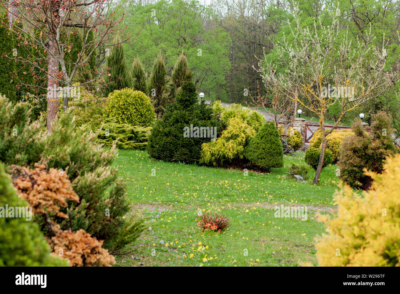 Garden, landscape of geometric shape bush and shrub decorate with ...