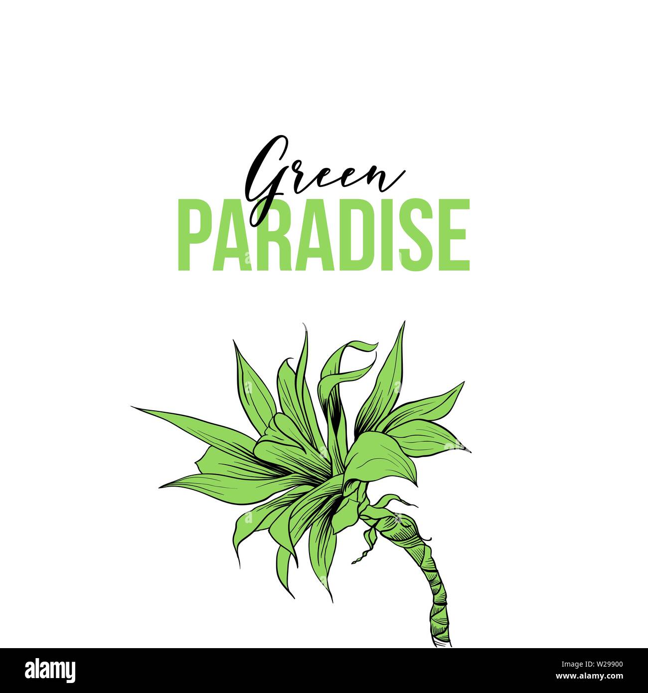 Agave hand drawn vector illustration. Green paradise typography ...