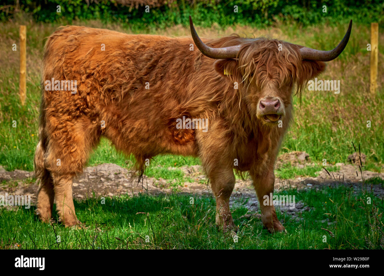 A82 luss hi-res stock photography and images - Alamy