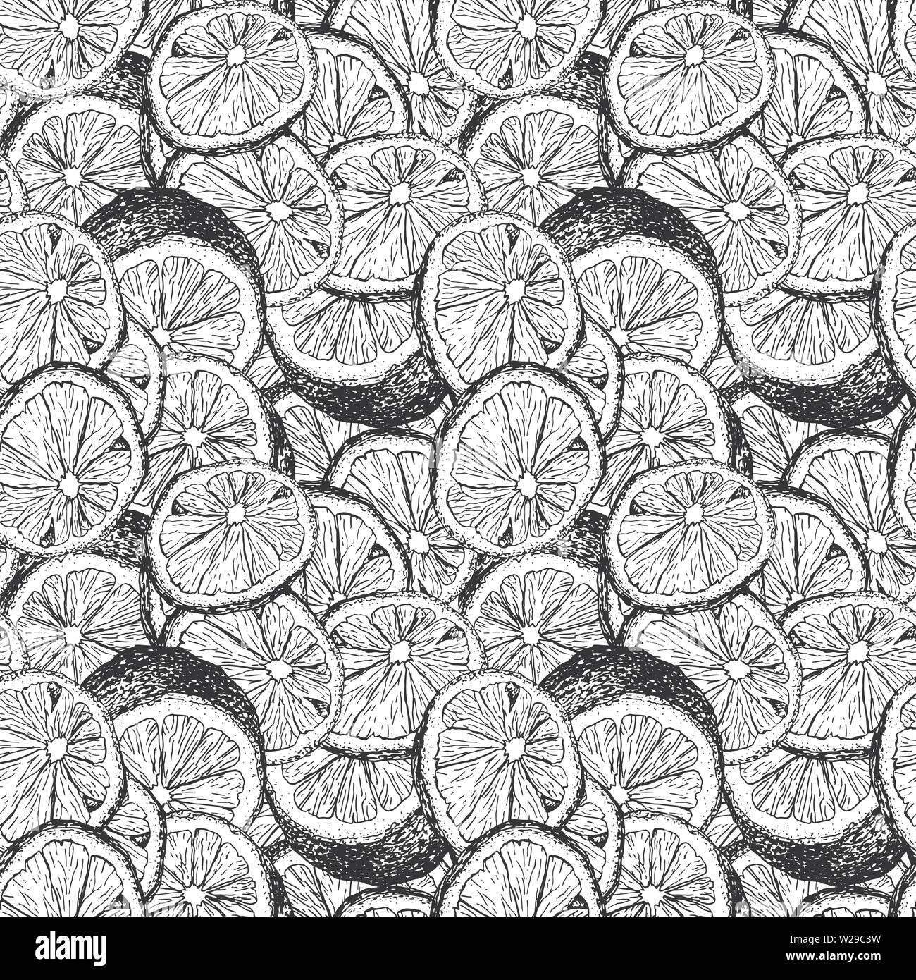 Fresh lemons hand drawn seamless vector pattern. Sliced citrus ink pen outline drawing. Fruit ...