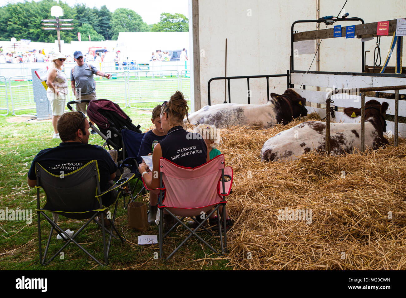 90th Kent County Show, Detling, 6th July 2019. Family gathered around ...
