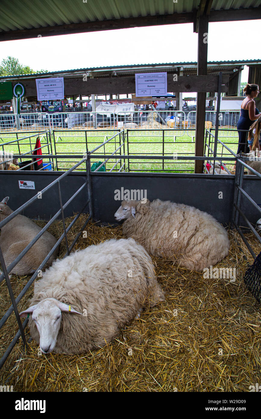 Detling showground hi-res stock photography and images - Alamy