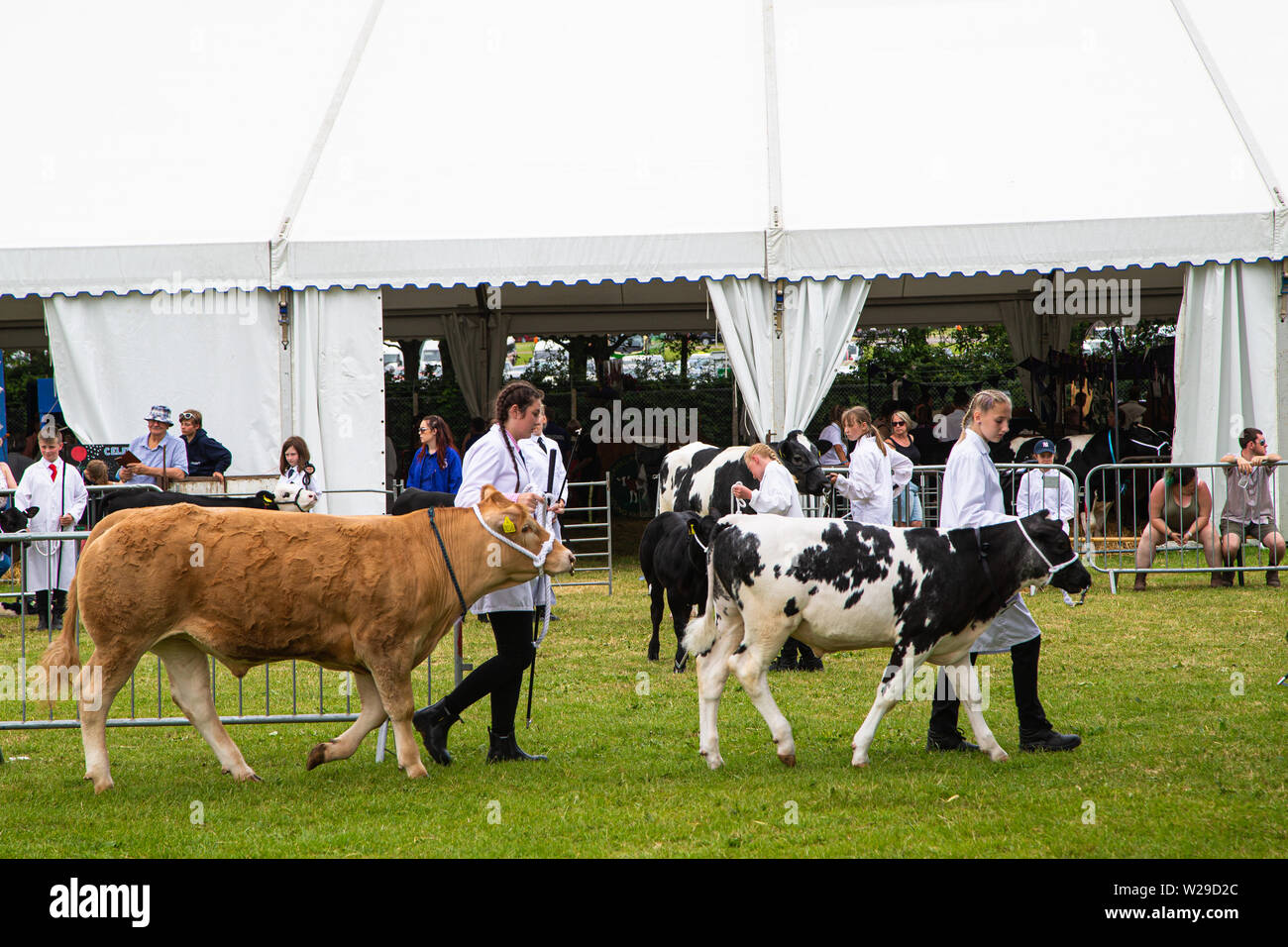 90th Kent County Show, Detling, 6th July 2019. Kent Young farmers ...