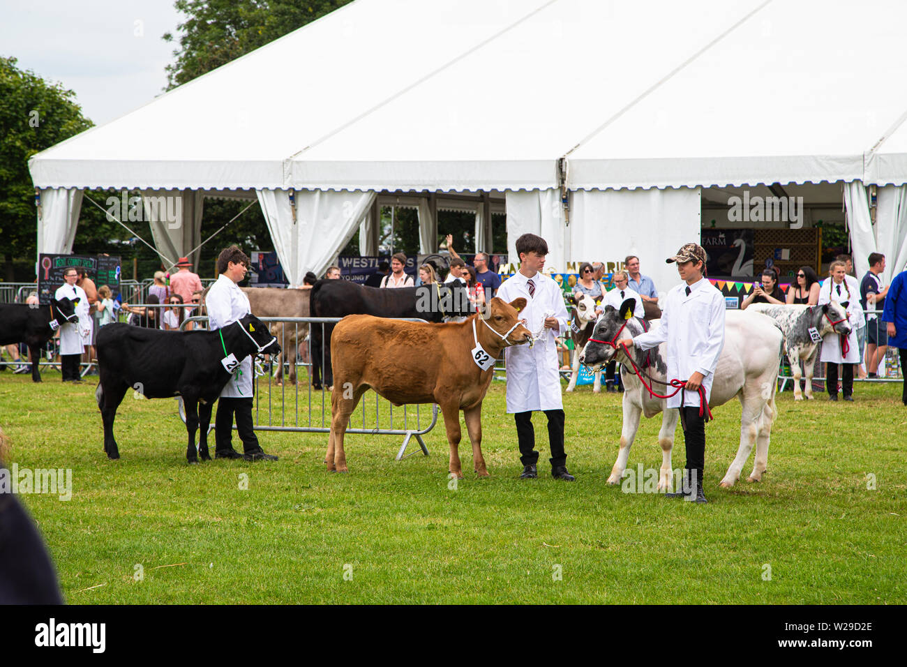 90th Kent County Show, Detling, 6th July 2019. Kent Young farmers ...