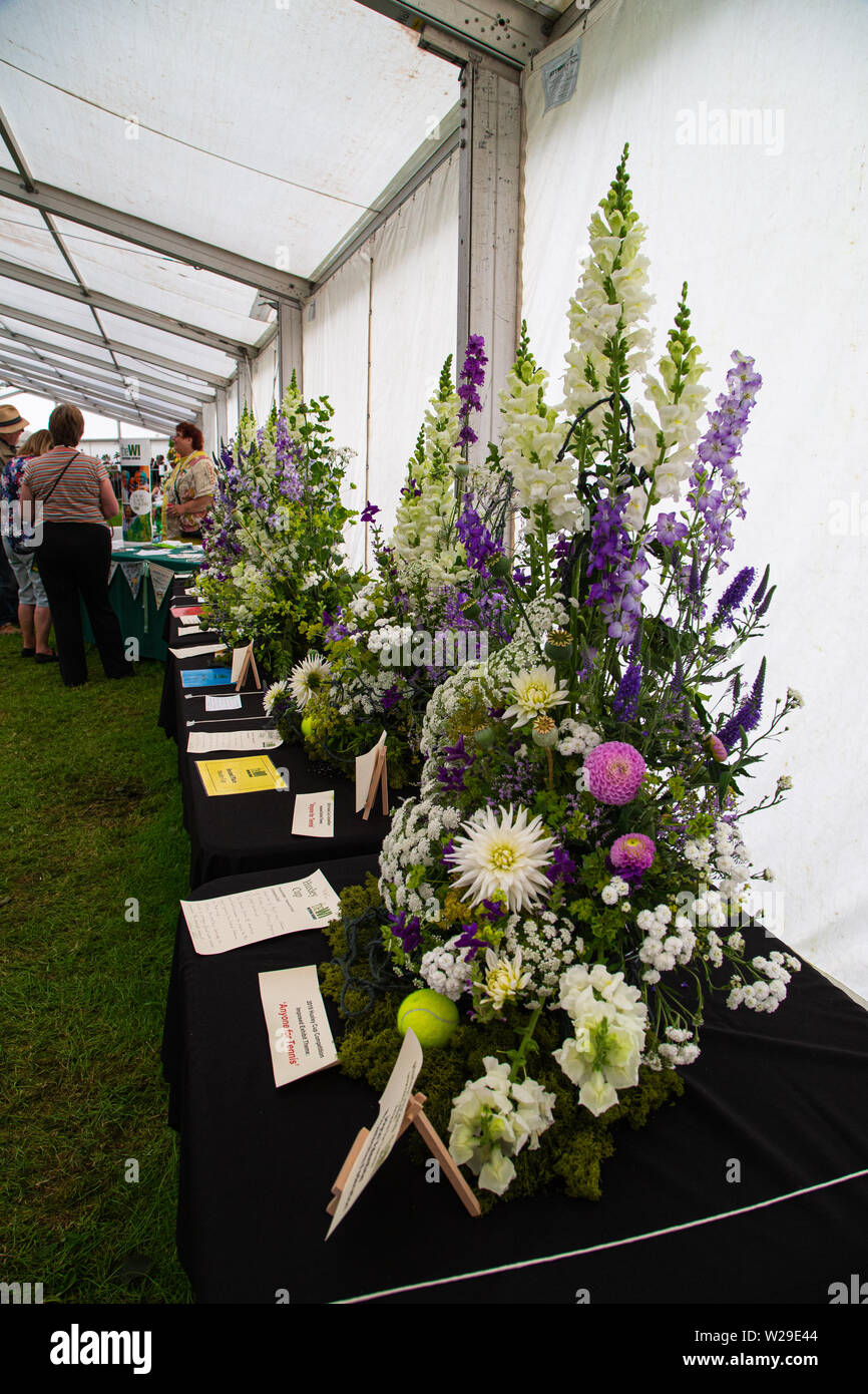 90th Kent County Show, Detling, 6th July 2019. Finalists for the Women ...