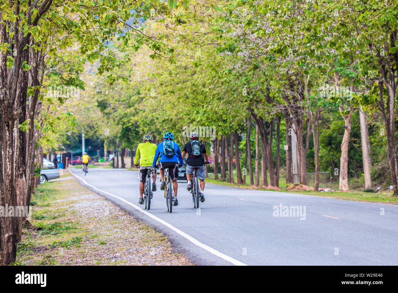 People with bycicle over park background Stock Photo - Alamy