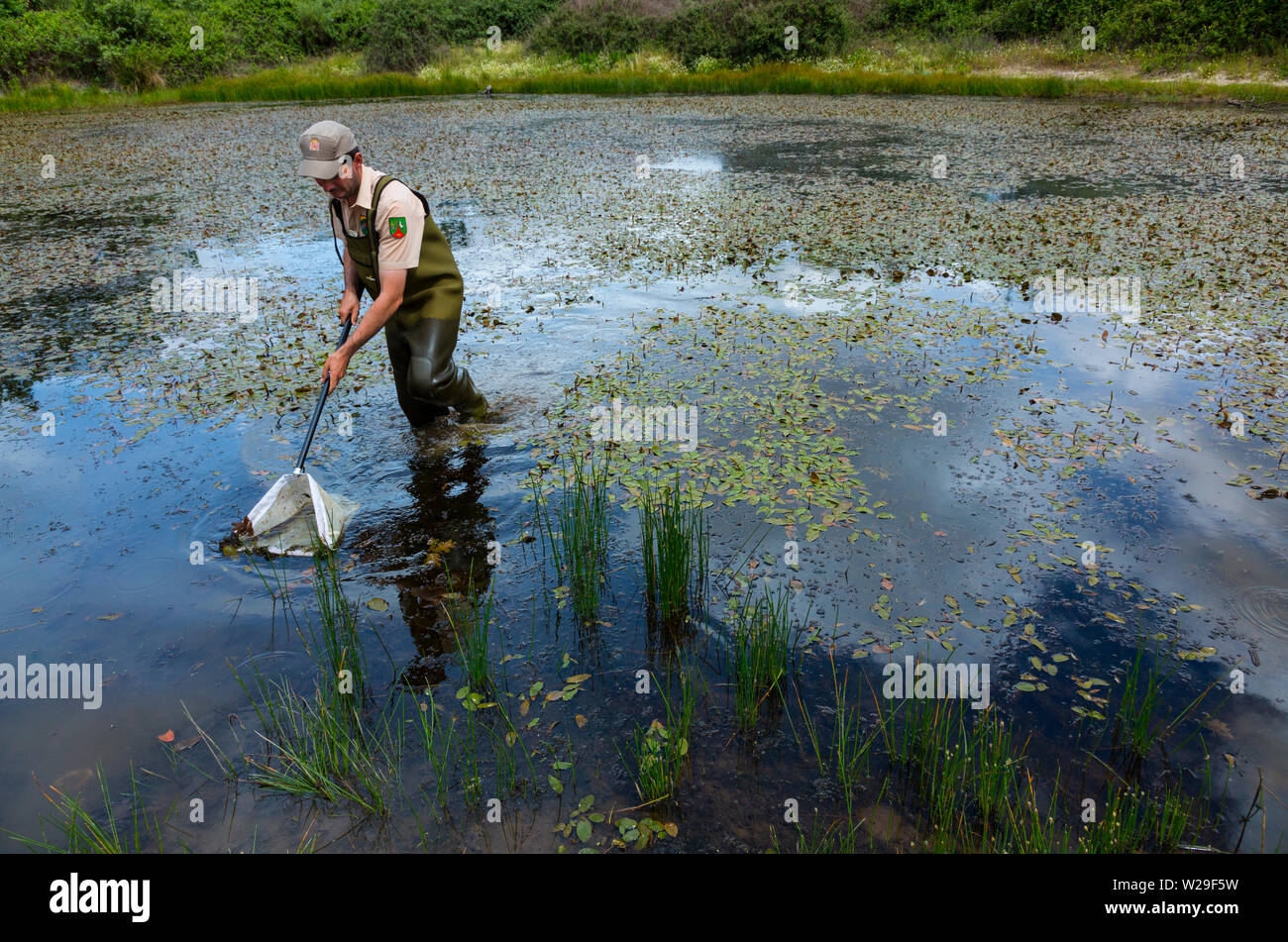 Campanarios de Azaba Biological Reserve, Salamanc, Castilla y Leon ...