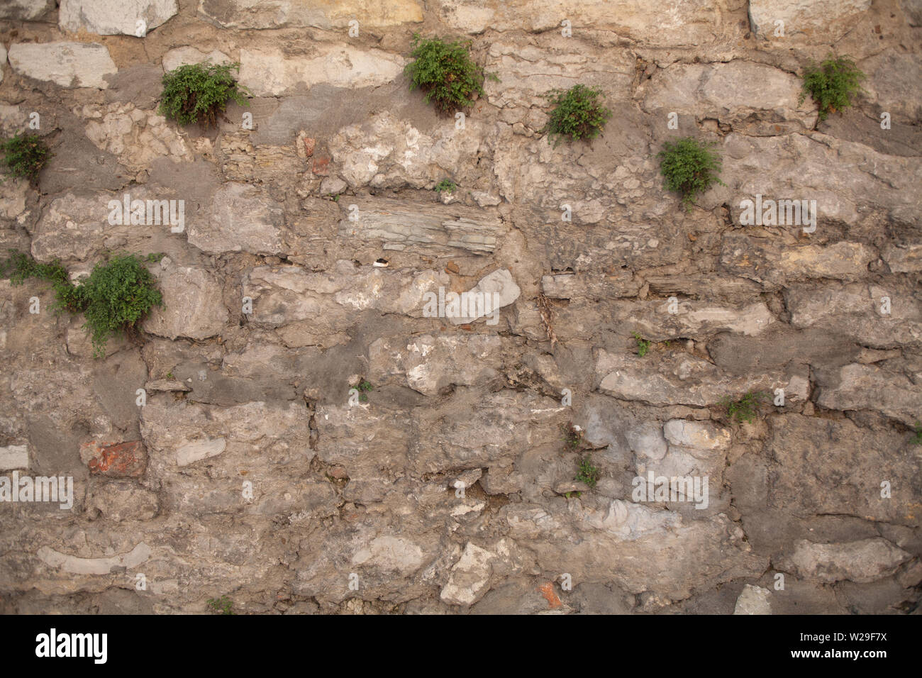 Vintage old wall texture background Stock Photo - Alamy