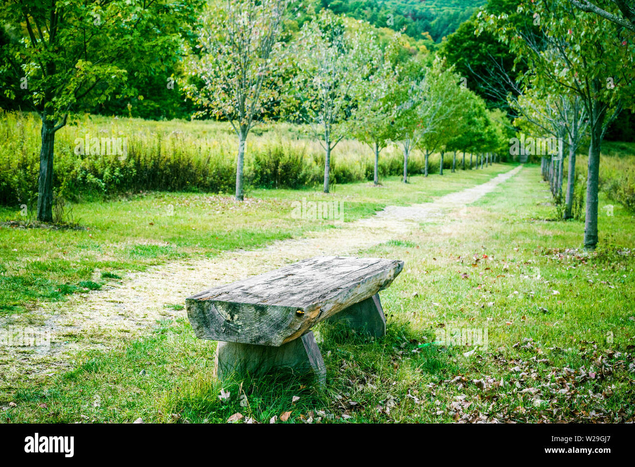 Nature landscape with Relaxing bench and path in park Stock Photo - Alamy