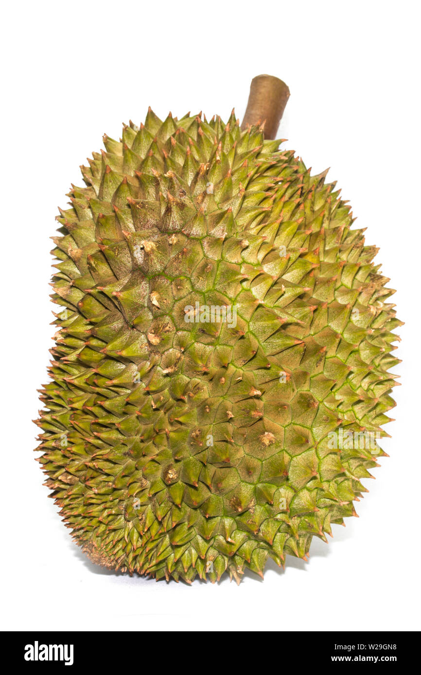 Durian fruit isolated white background Stock Photo - Alamy