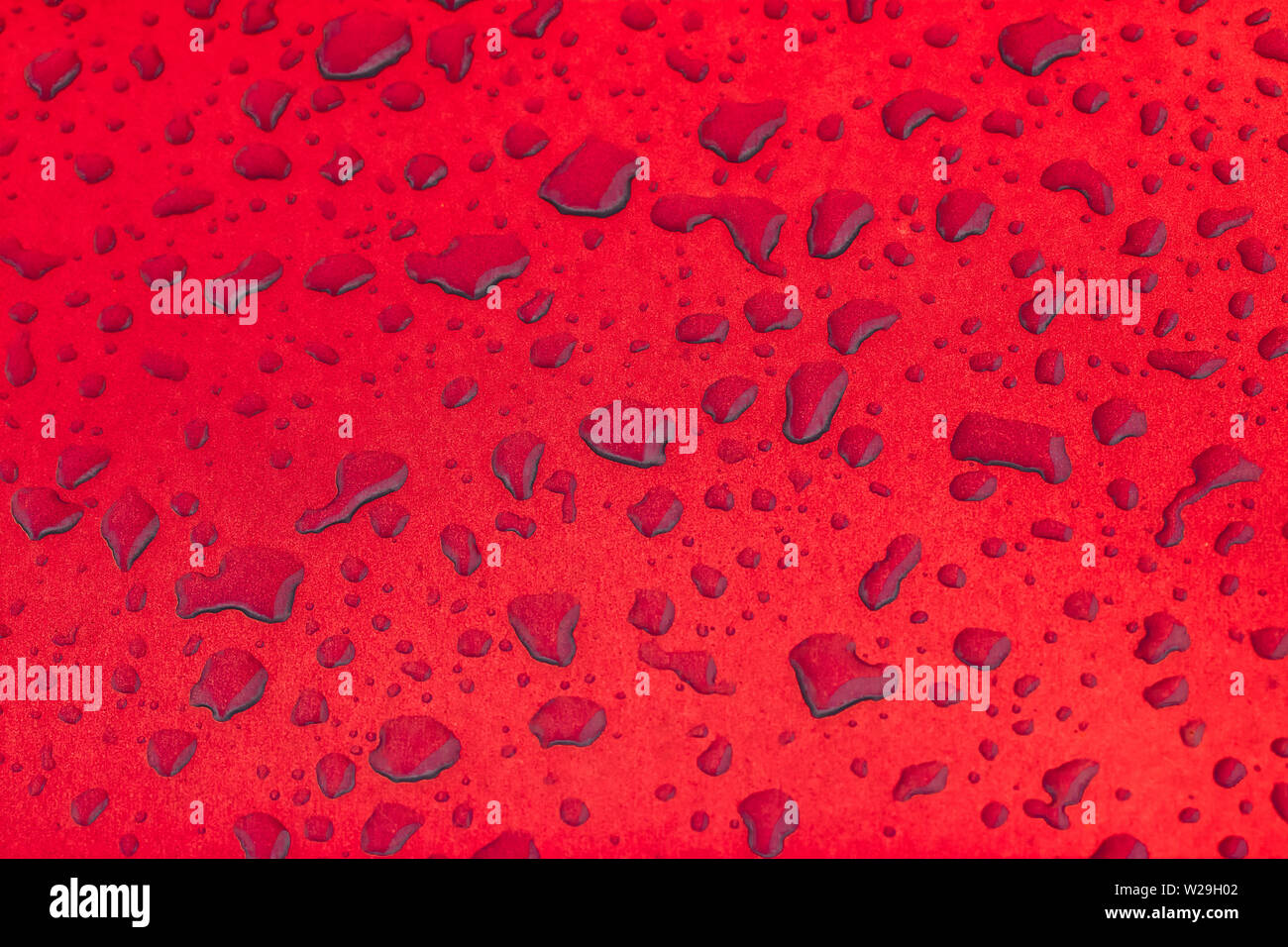 Rain drops on the red floor Stock Photo - Alamy