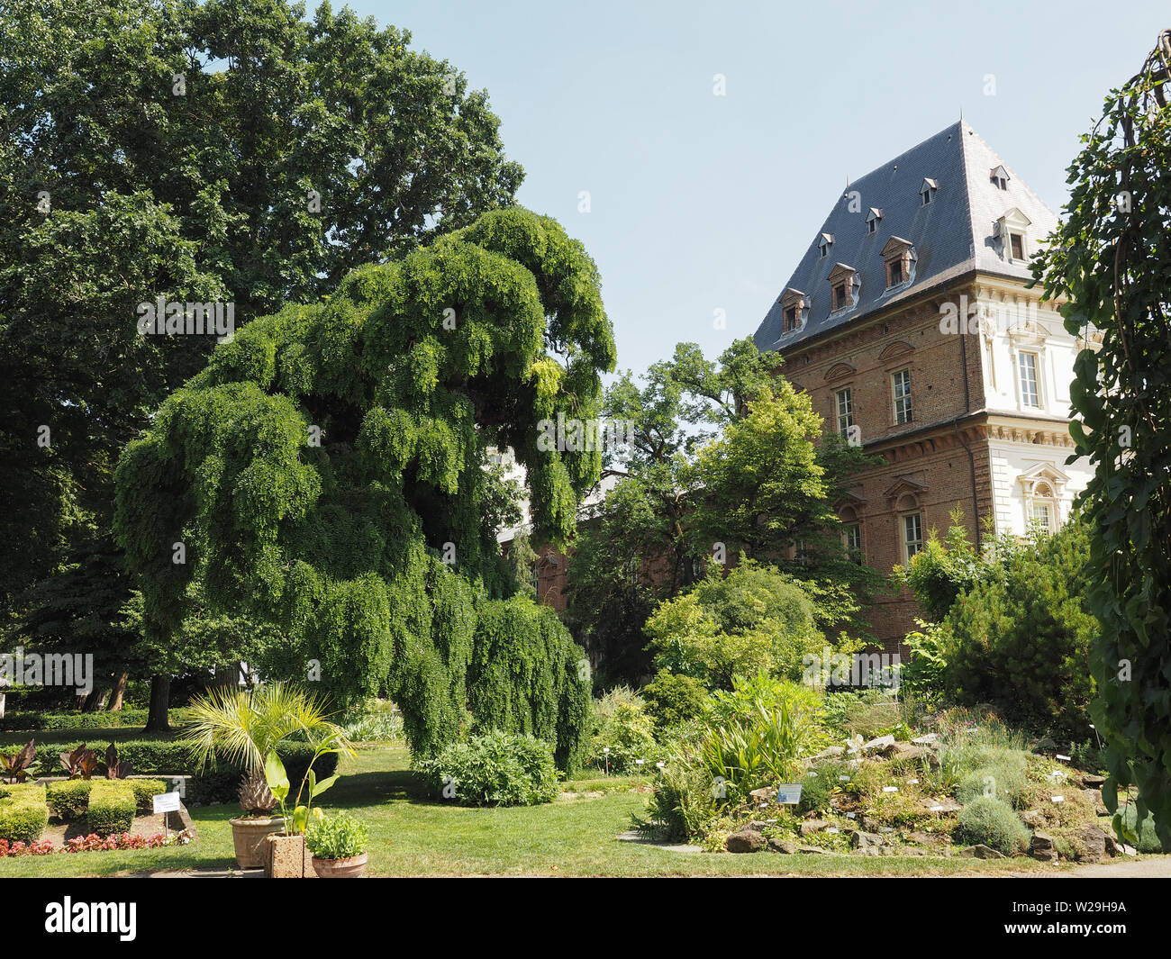 Botanical garden of turin hi-res stock photography and images - Alamy