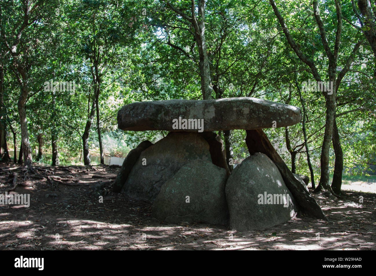Megalithic grave in a forest in spain Stock Photo - Alamy