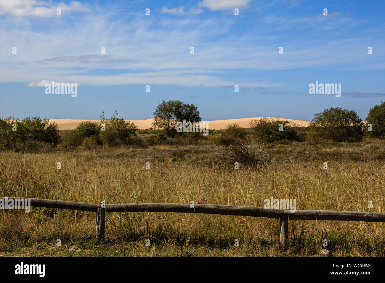 Dunes field hi-res stock photography and images - Alamy