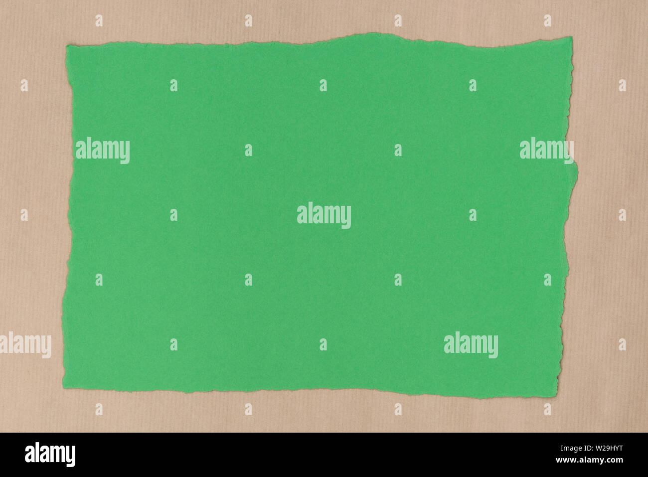 green color piece of torn paper on recycled paper background texture ...