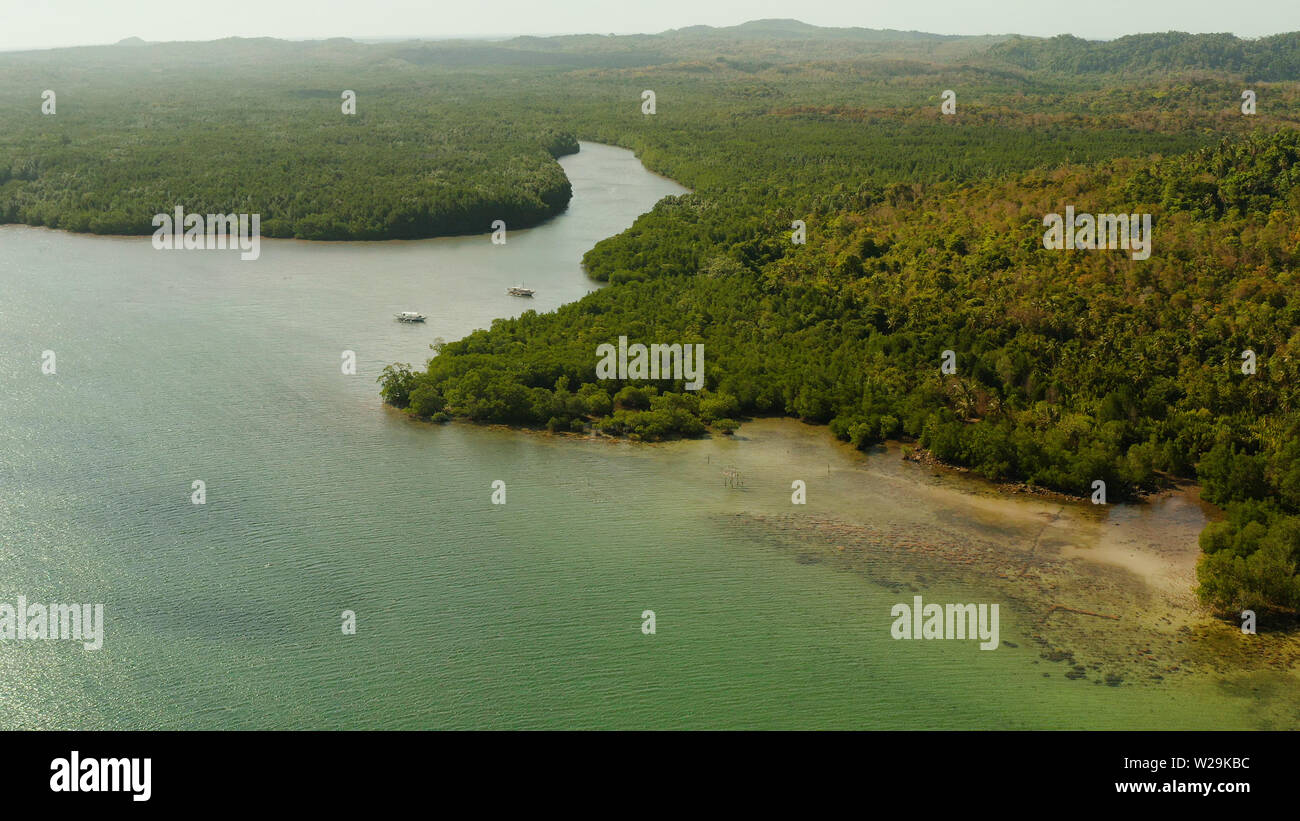 Coastline of tropical island Balabac with river flowing into the sea ...
