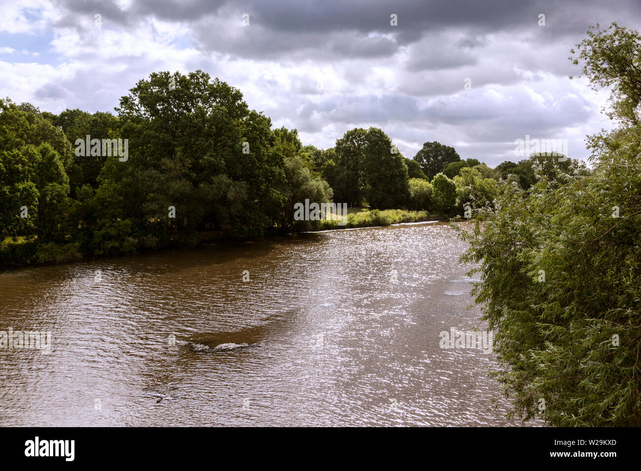 Leine shore hi-res stock photography and images - Alamy