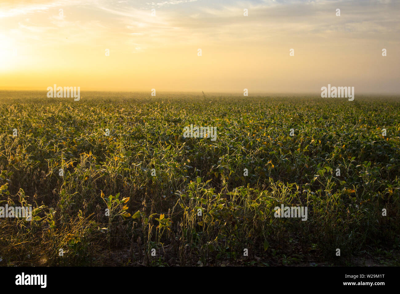 Agriculture farm field hi-res stock photography and images - Alamy