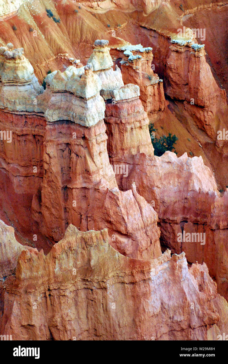 The shapes and colors of gorgeous Bryce Canyon, Utah in all it's glory ...