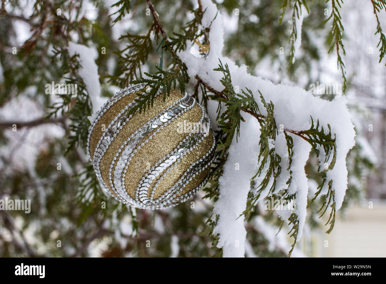 Real christmas tree hi-res stock photography and images - Alamy