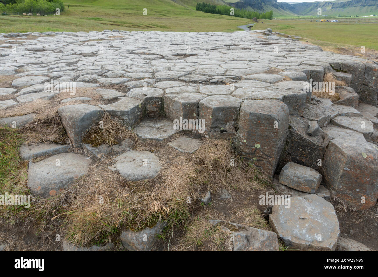 Kirkjugolf basalt columns hi-res stock photography and images - Alamy
