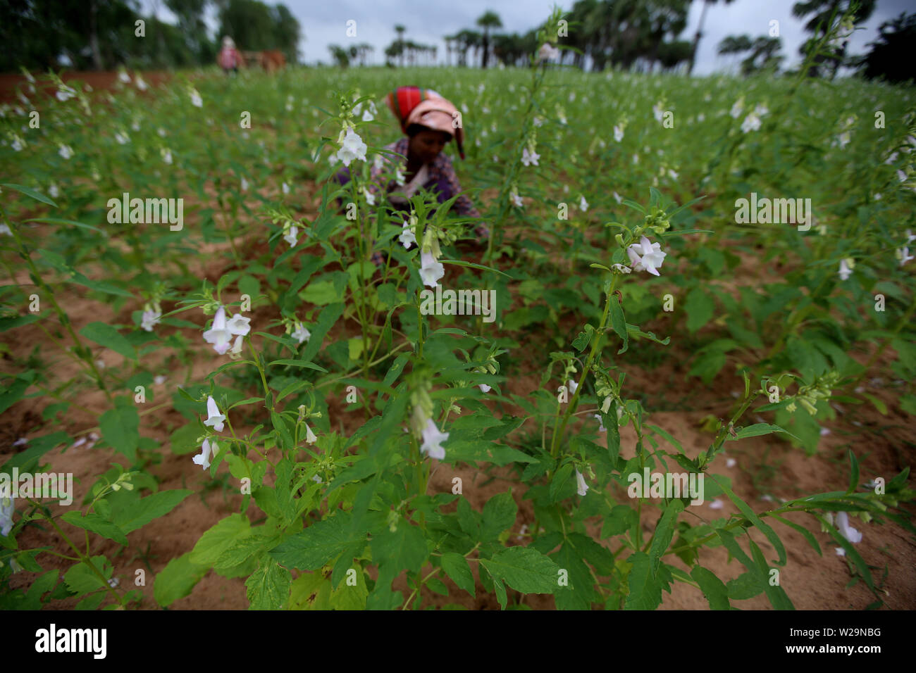 Magway hi-res stock photography and images - Alamy