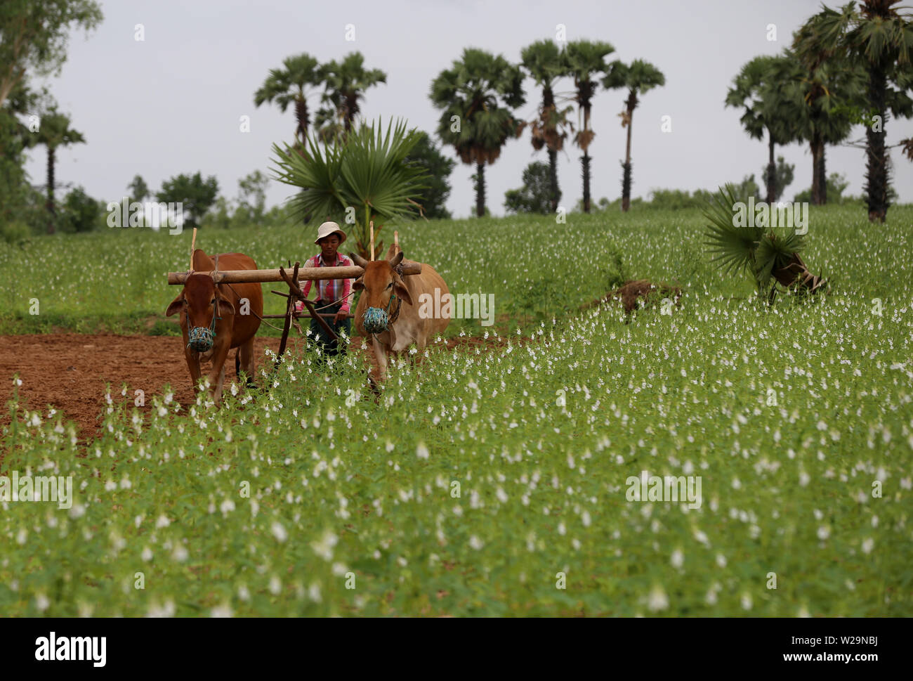 Magway hi-res stock photography and images - Alamy