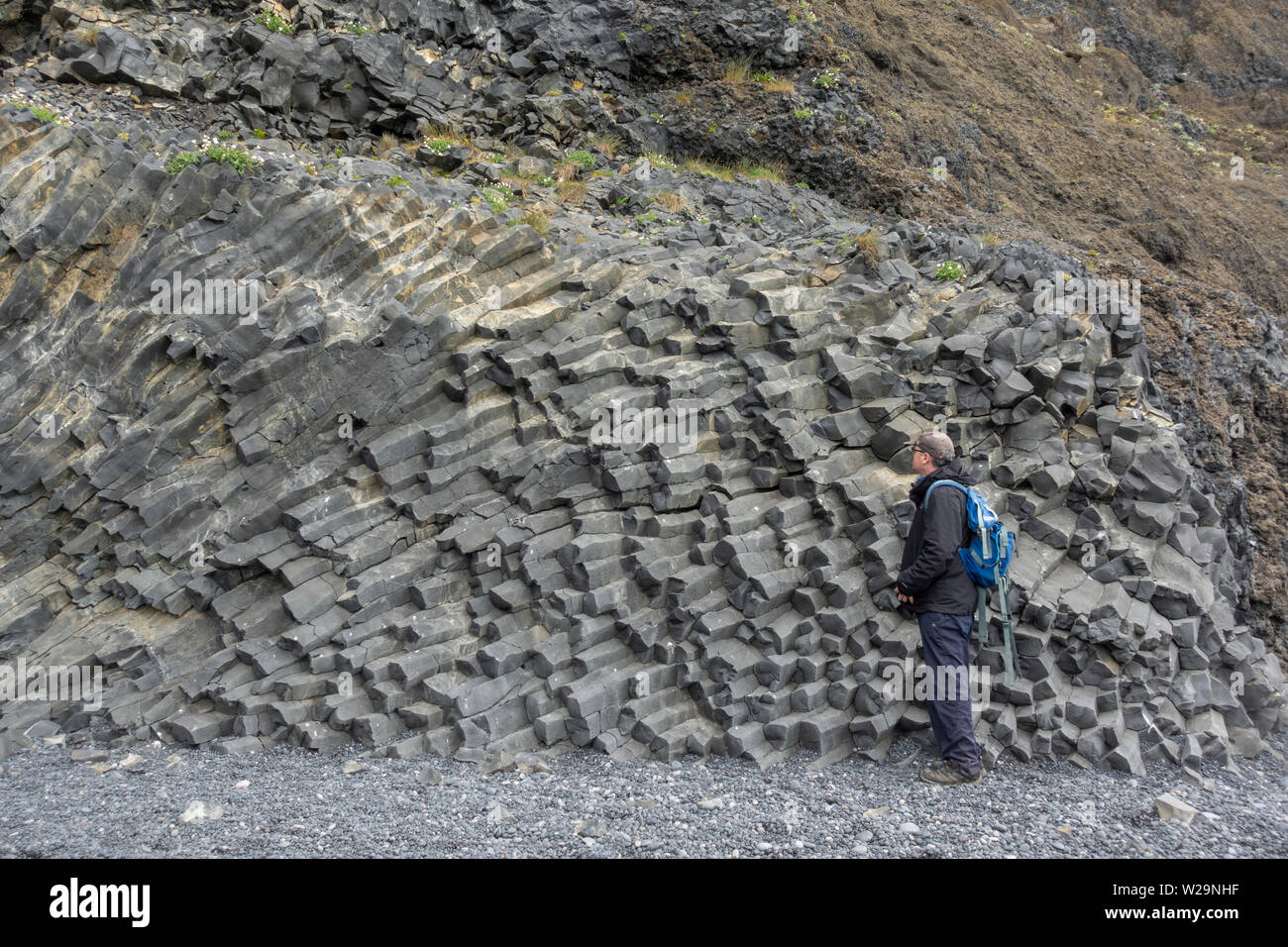 Visitor in front of hexagonal basalt column formations on Reynisfjara ...