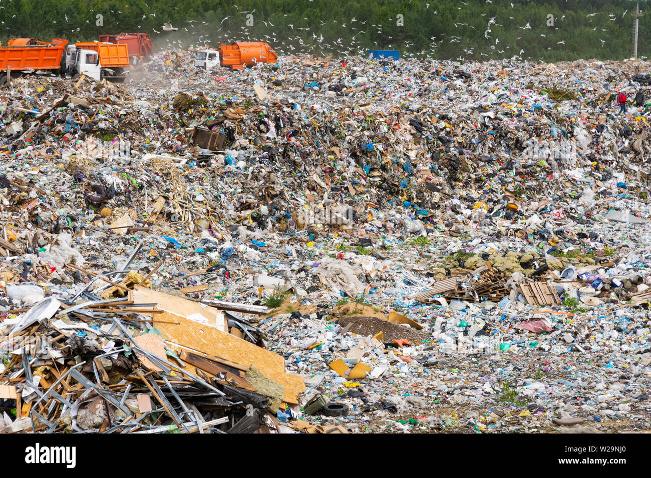 Municipal landfill for domestic waste. Trucks unload garbage at the ...