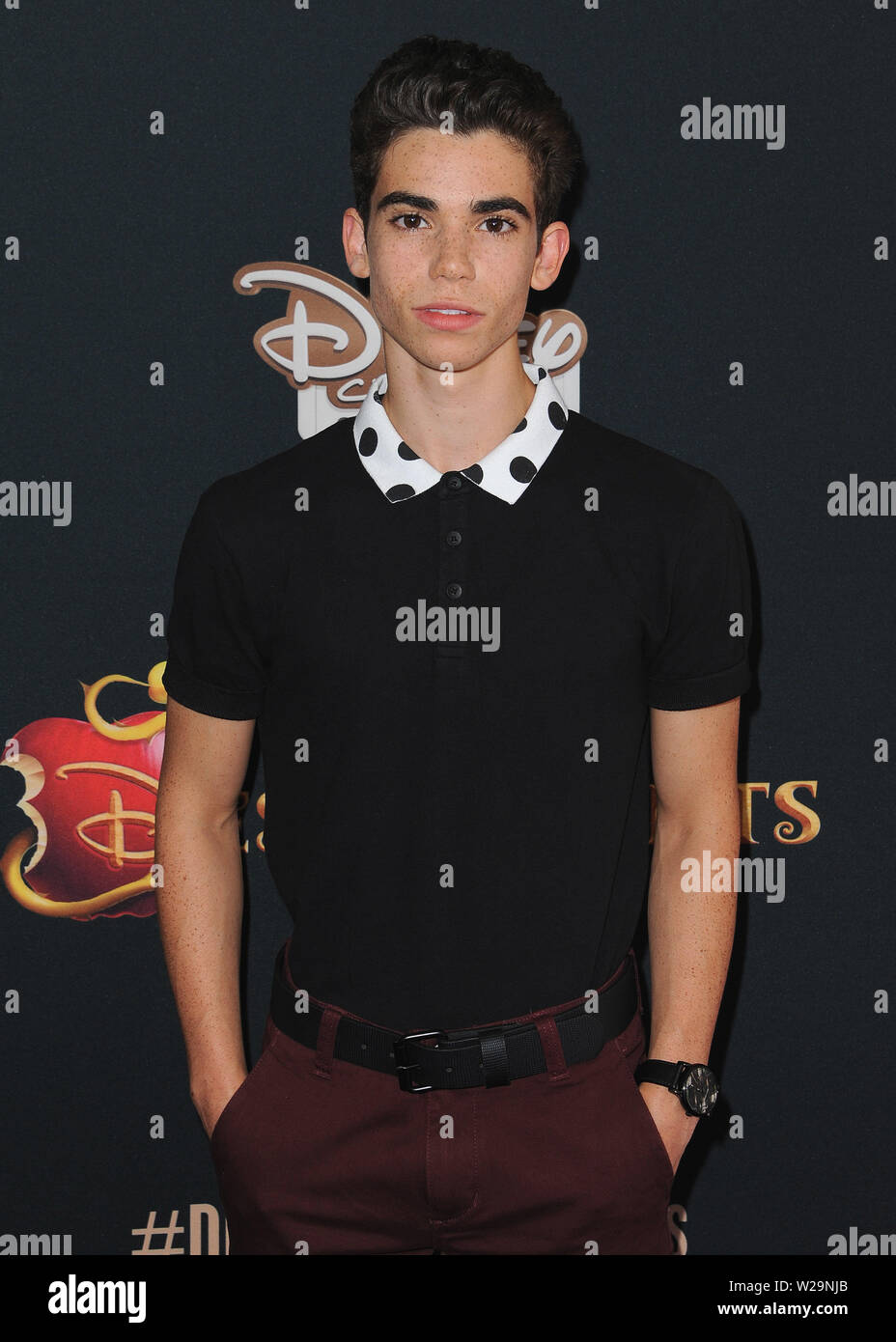 Descendants Premiere Walt Disney Studios High Resolution Stock ...