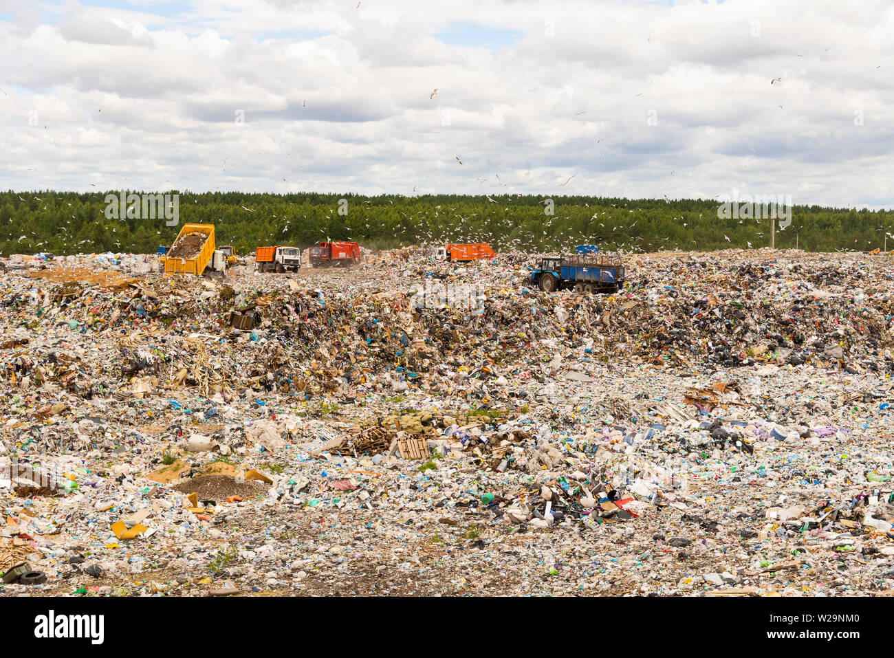 Pollution Gulls High Resolution Stock Photography and Images - Alamy