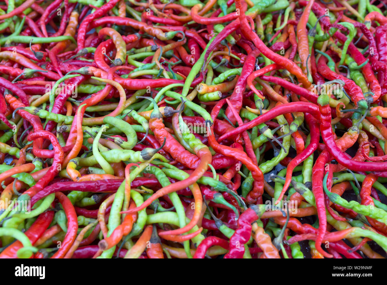 Semi dry hi-res stock photography and images - Alamy