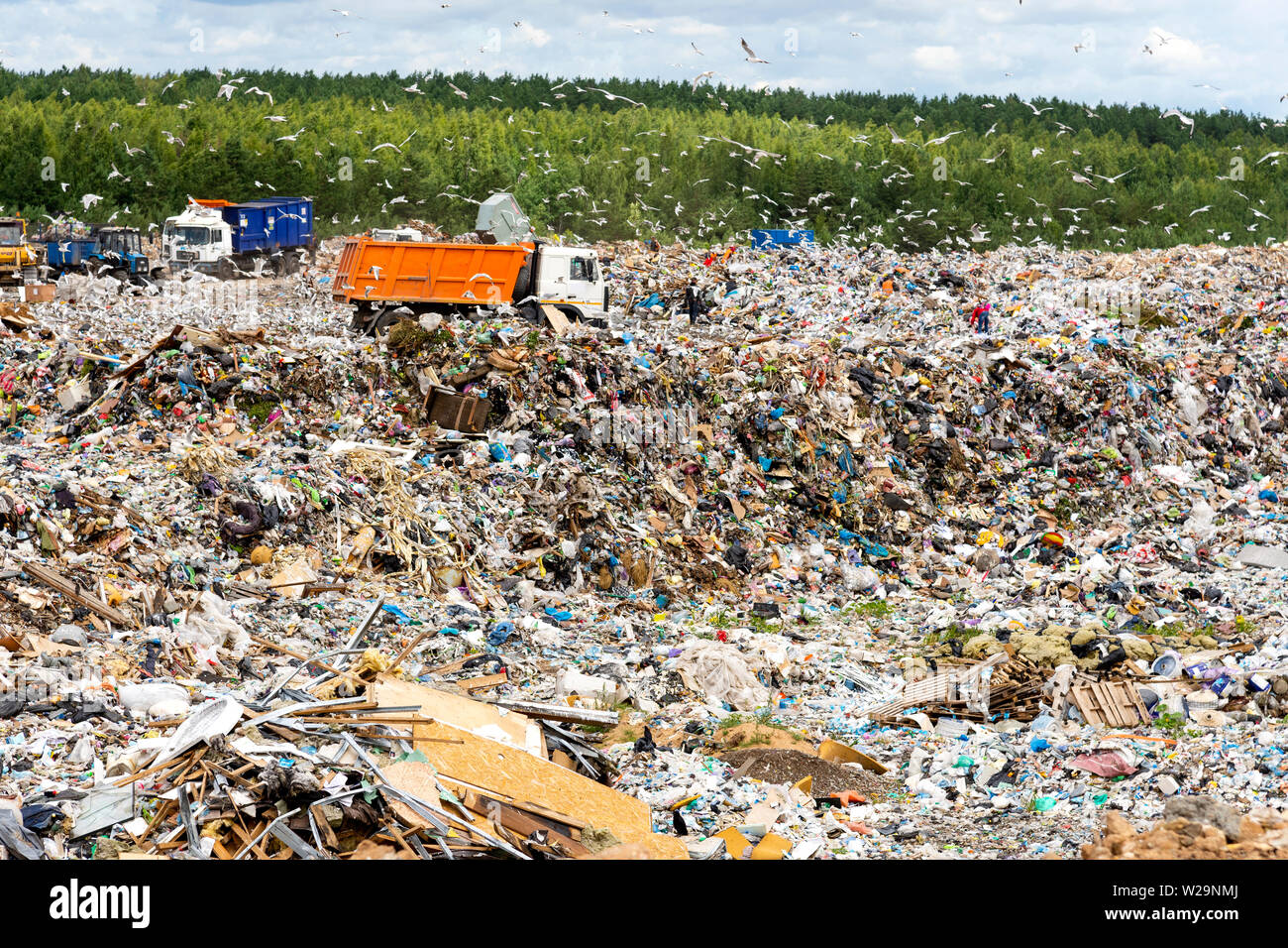 Municipal landfill for domestic waste. Trucks unload garbage at the ...