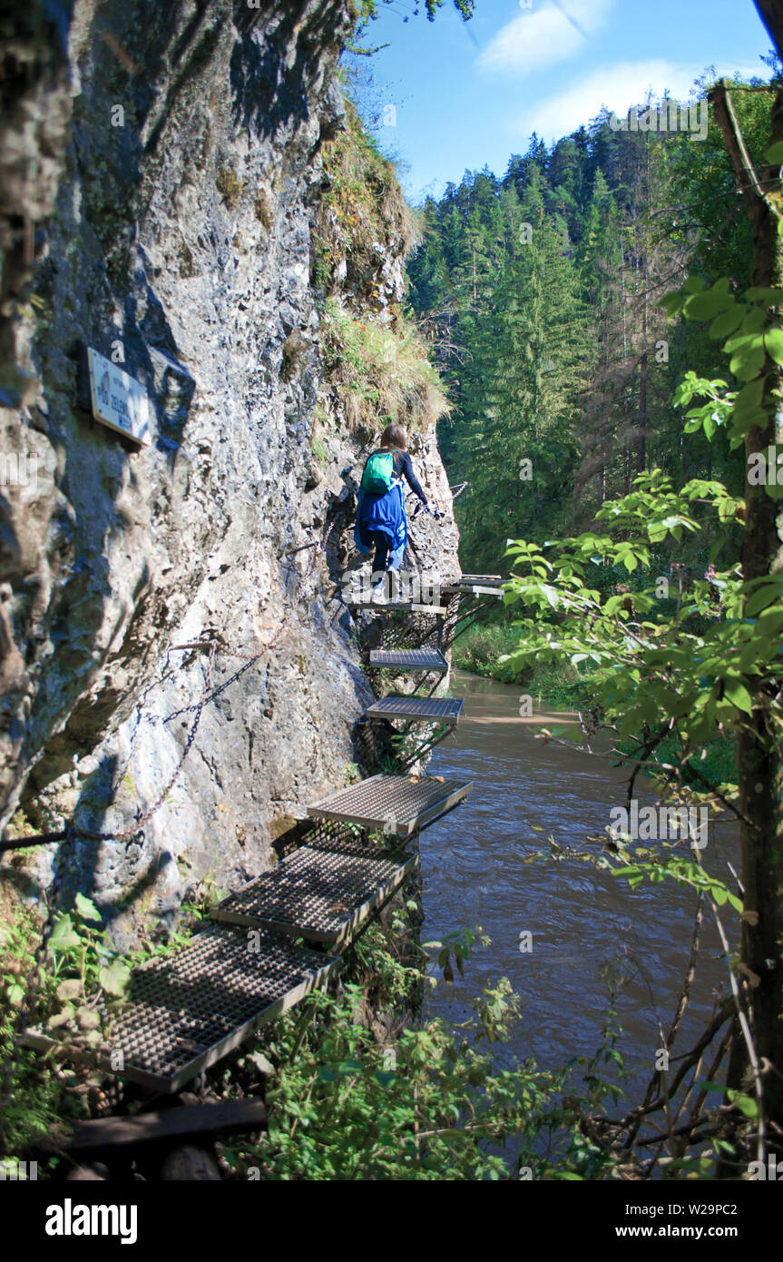 Back of one young woman on a metal path above Hornad canyon, Slovensky ...