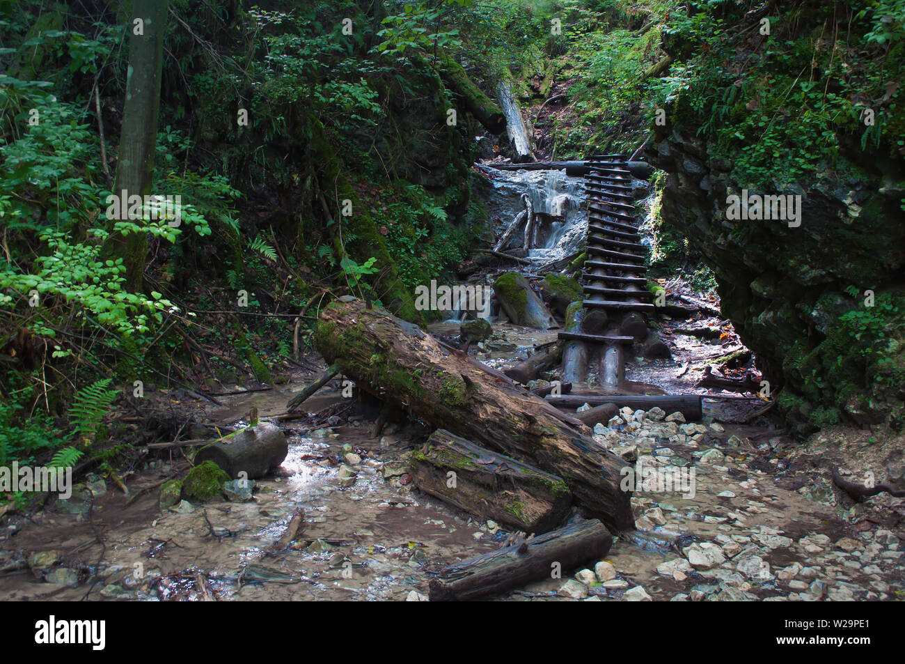 Wooden Rock Ladder High Resolution Stock Photography and Images - Alamy